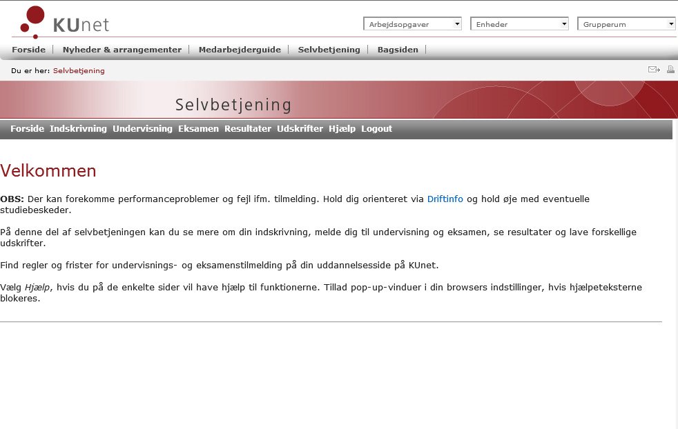 It-koks: Studerende kan ikke melde sig til efterårets undervisning