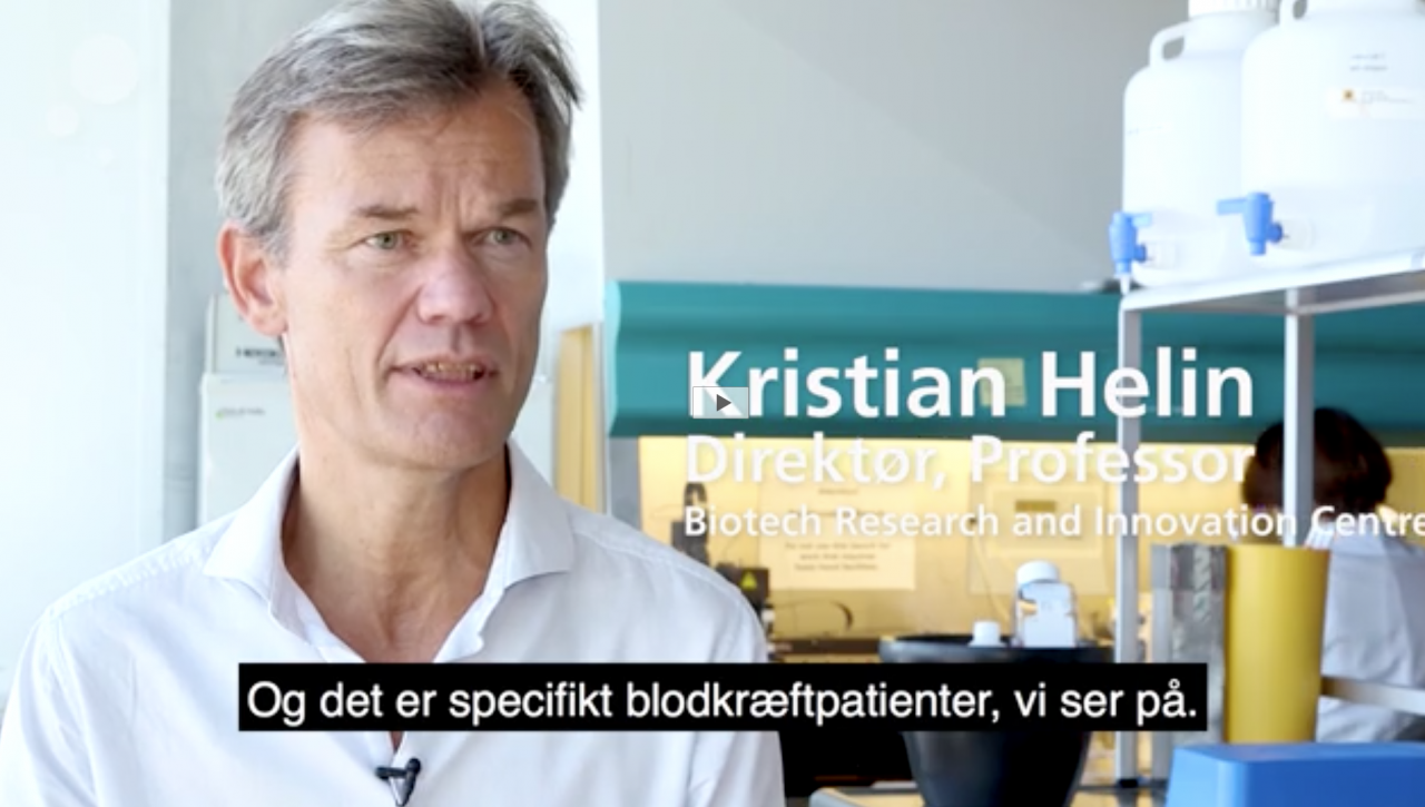 DKK 100m to new UCPH blood cancer research