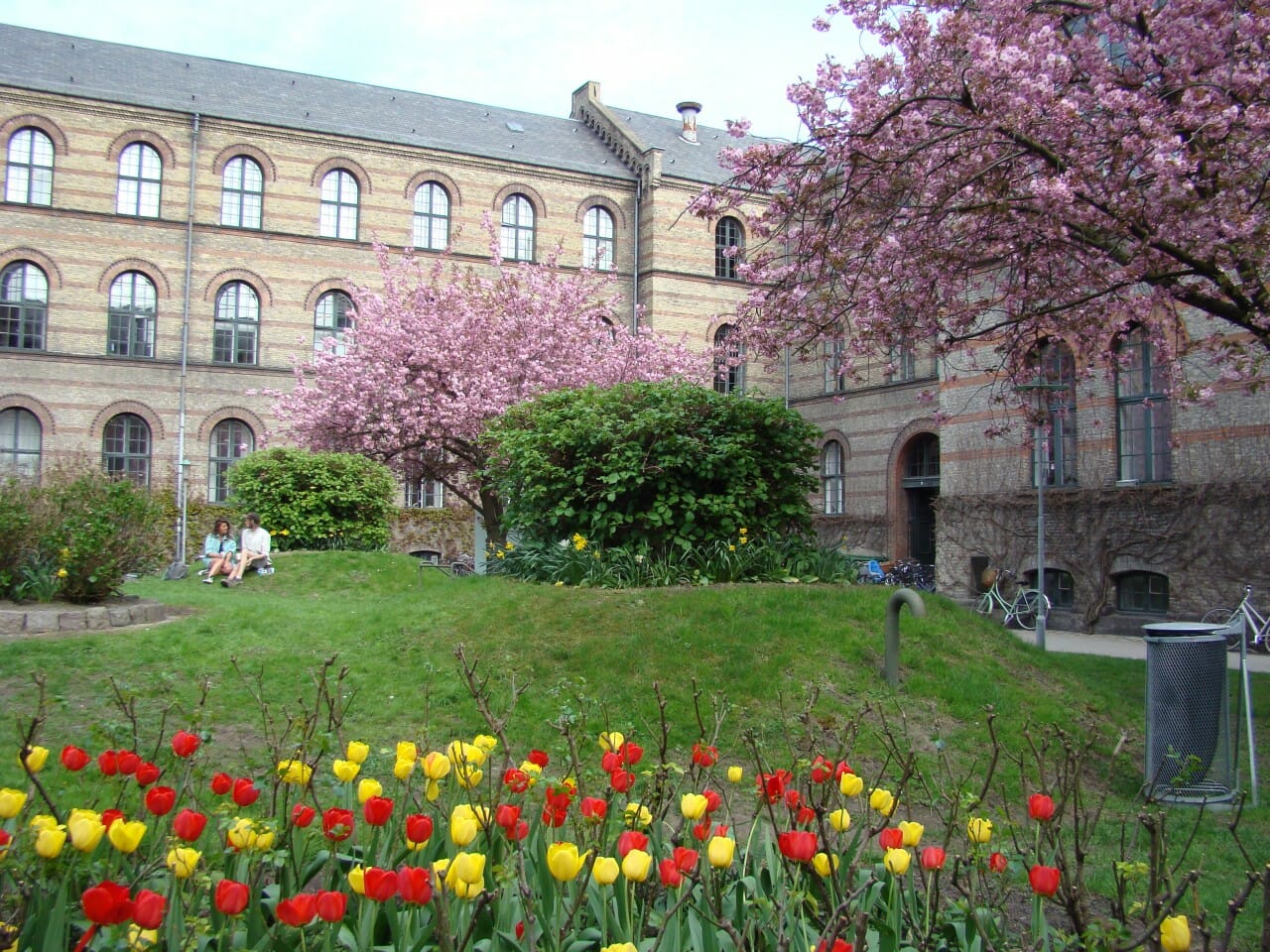 Lars Christian Kofoed Rømer defends his PhD thesis at the Department of ...