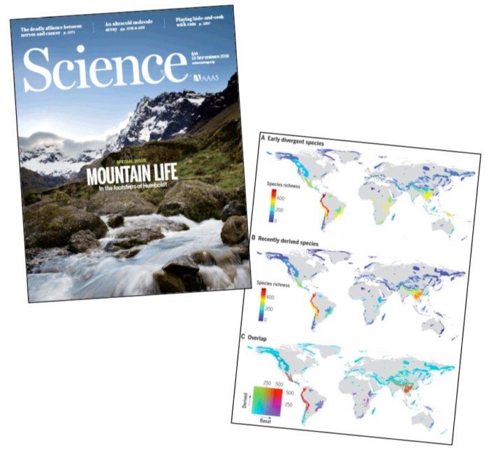 Building Mountain Biodiversity: Geological and Evolutionary Processes ...