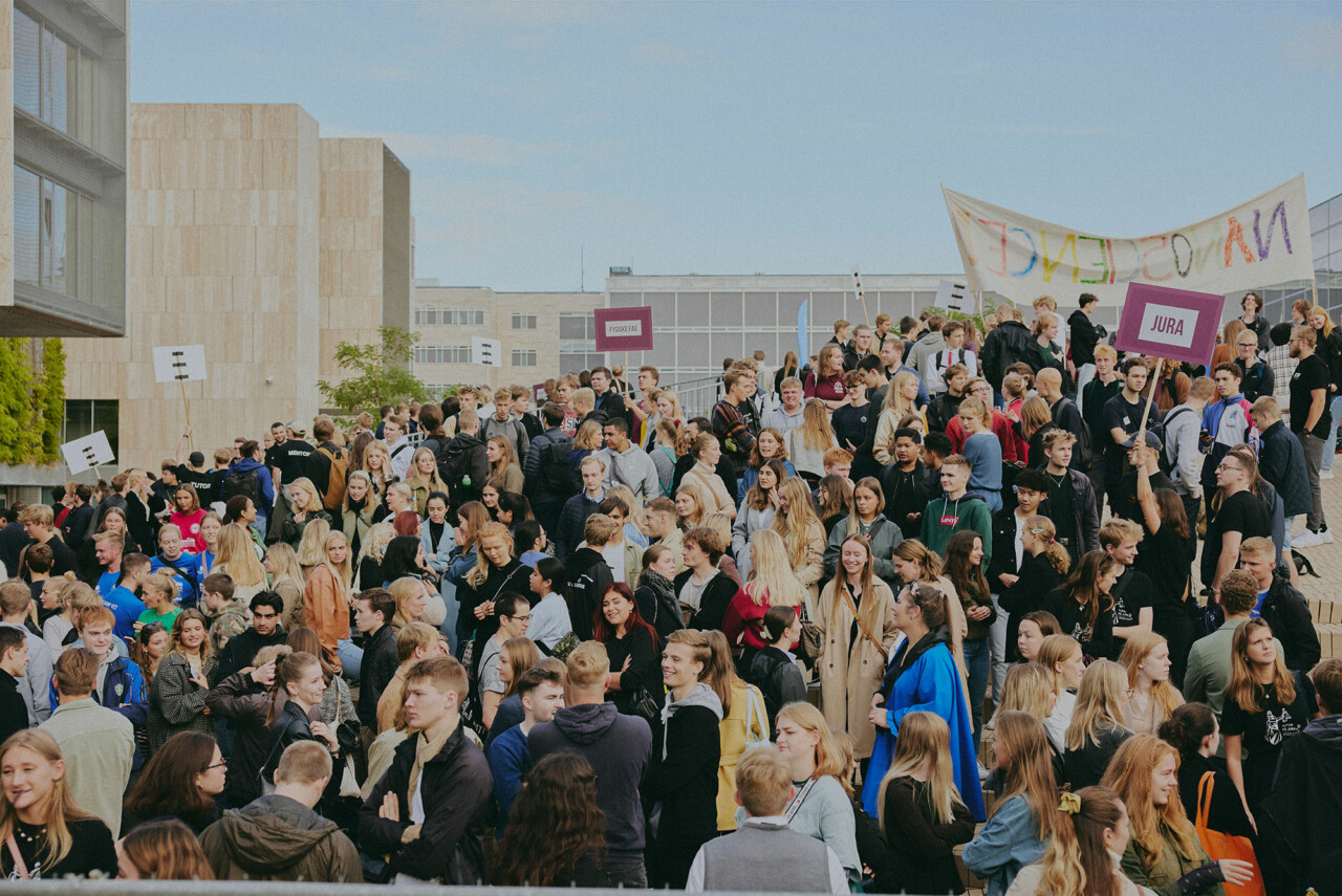Café Helga, dødsstjerner og nybagte vafler: Her er din guide til Søndre ...