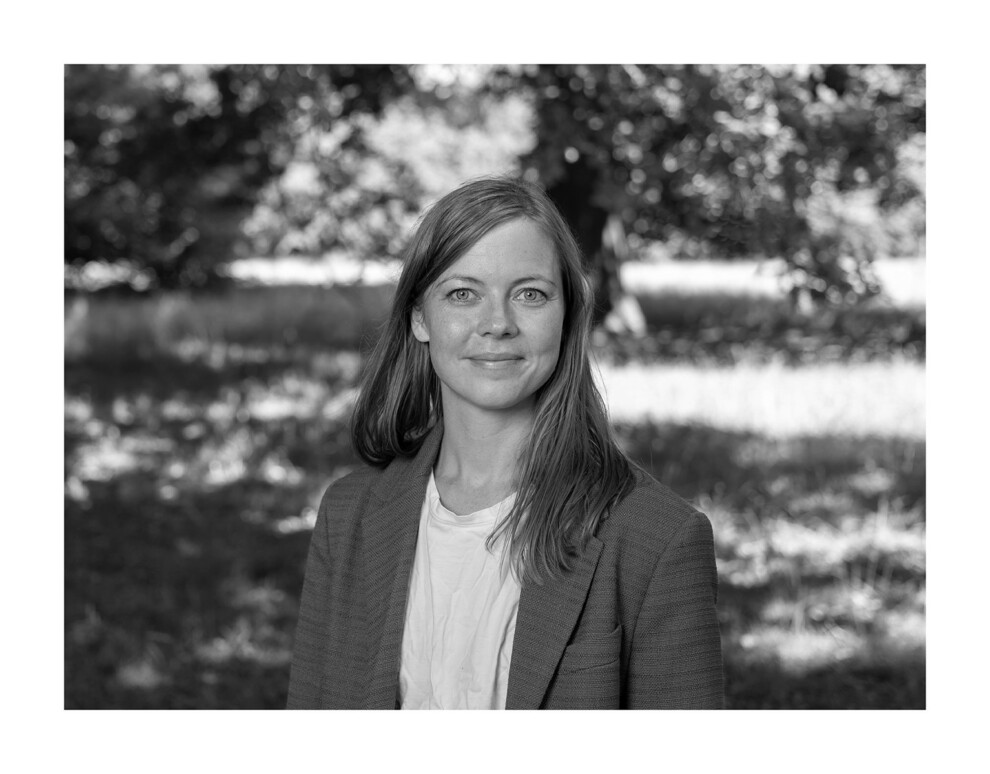 On ‘ideas’ — a letter to the Minister for Higher Education and Science