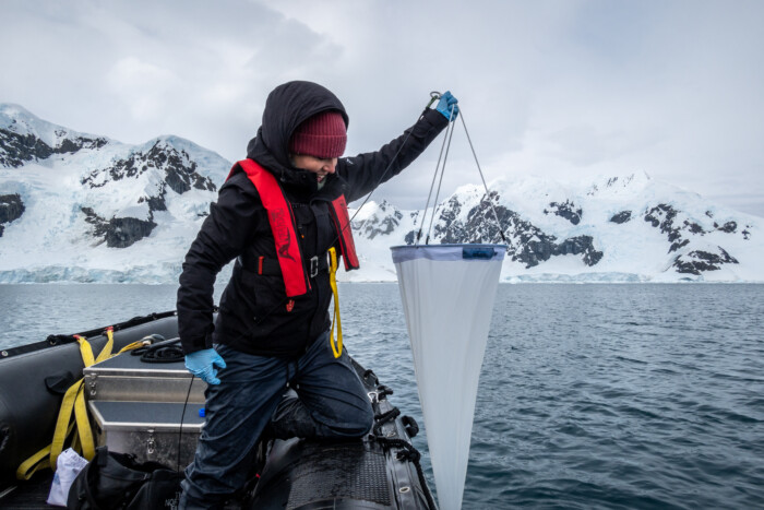 Anna Junker Olesen defends her thesis at the National History Museum of ...
