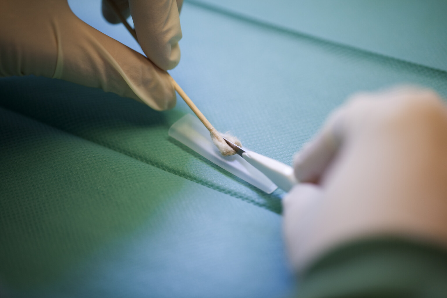 Fra dna-spor til dna-profil: Kom med bag facaden hos universitetets ...